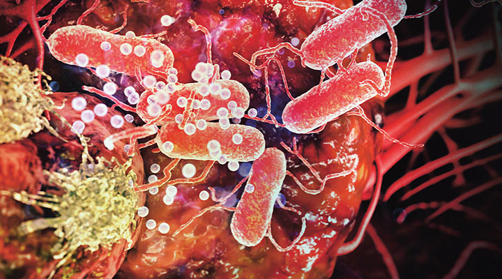 Cancer-Fighting Microbes Biology Article for Students | Scholastic ...