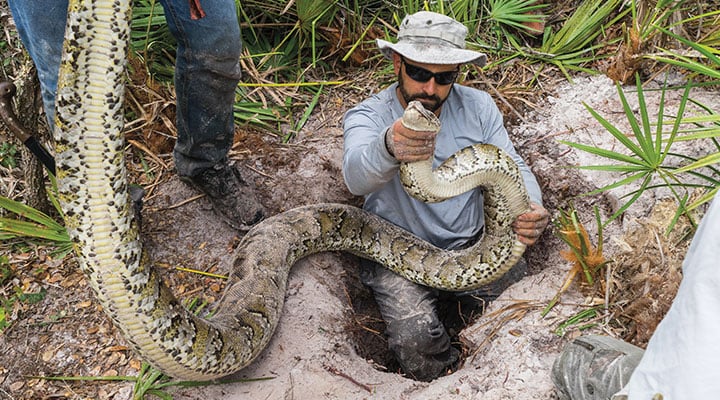 Snake Stoppers Biology Article for Students | Scholastic Science World ...