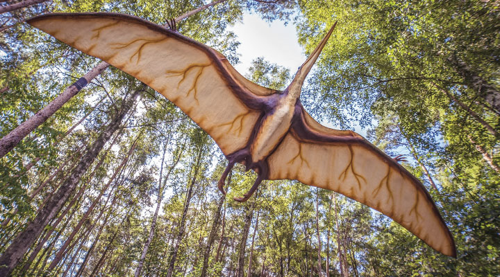 Colossal Creature Biology Article for Students | Scholastic Science ...