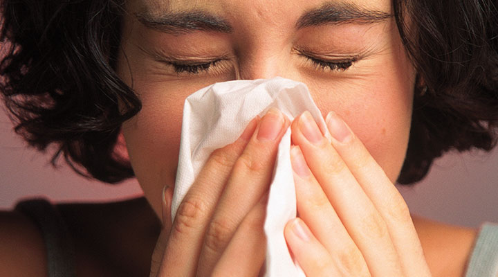 Don't Stifle Your Sneeze Biology Article for Students | Scholastic ...