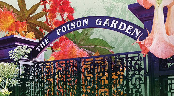 World's Deadliest Garden Chemistry Article for Students | Scholastic ...