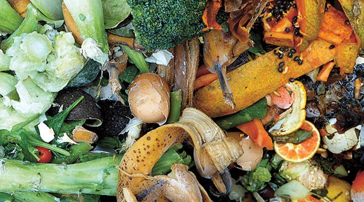 What a Waste! Biology Article for Students | Scholastic Science World ...