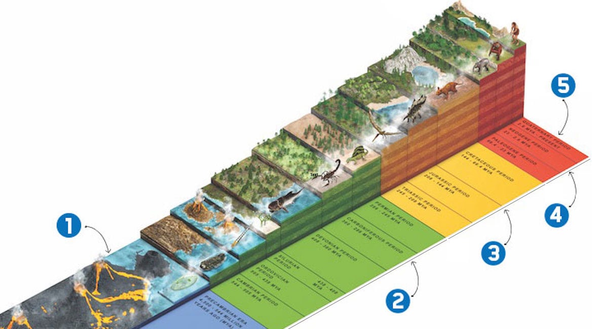 Eras Of The Earth Timeline The Earth Images Revimageorg
