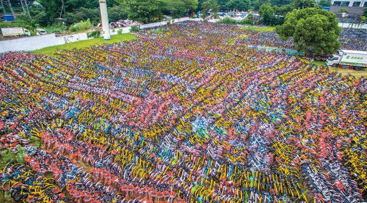 What in the World? Science Article for Students | Scholastic Science ...