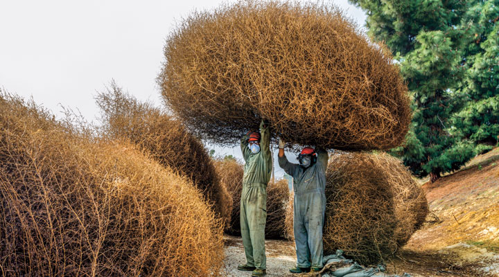 What in the World? Science Article for Students | Scholastic Science ...