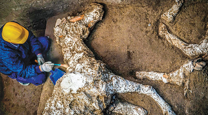 Buried by Ash Earth Science Article for Students | Scholastic Science ...
