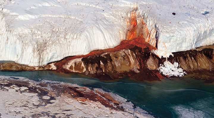 What in the World? Science Article for Students | Scholastic Science ...