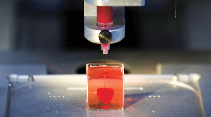 3-D Printed Heart Engineering Article for Students | Scholastic Science ...