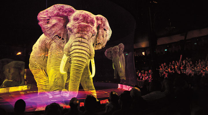 Animal-Free Circus Physics Article for Students | Scholastic Science ...