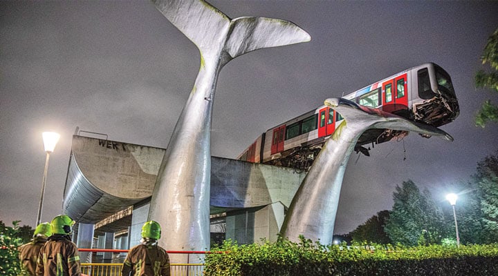 What in the World? Science Article for Students | Scholastic Science ...