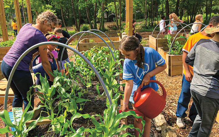 Fighting Food Insecurity Data Analysis Article for Students ...