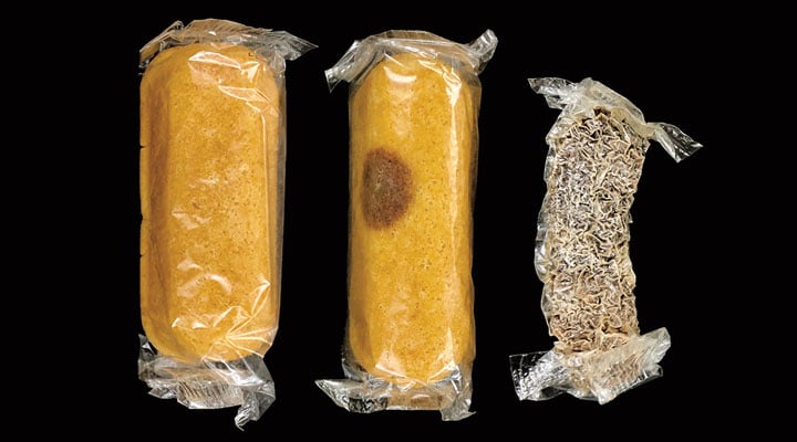 Moldy Twinkie Gross Out Article for Students | Scholastic Science World ...