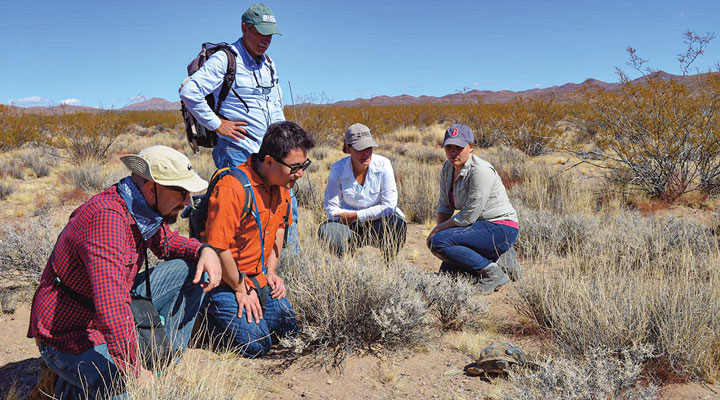 Reptile Researcher Cool STEM Jobs Article for Students | Scholastic ...