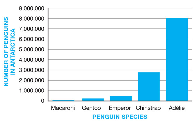 African Penguin Population Graph Possible Causes For The Decline In
