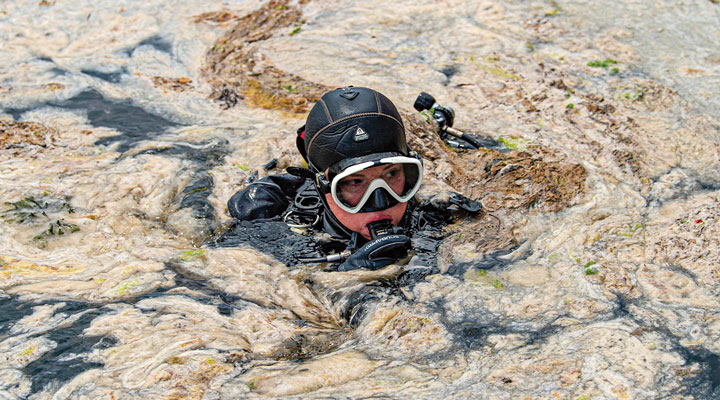 Snot-Covered Sea Gross Out Article for Students | Scholastic Science ...