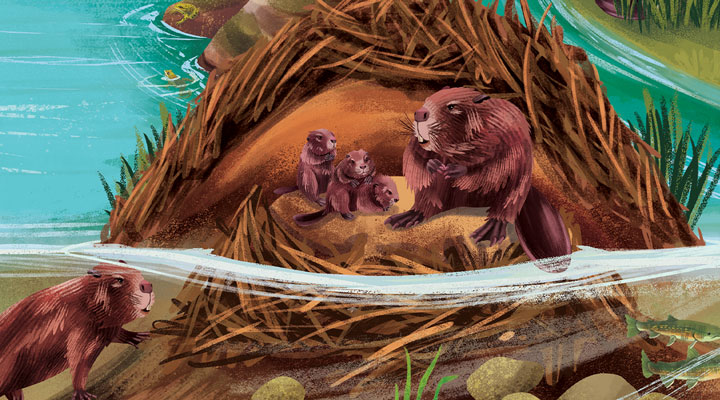 Nature's Engineers Biology Article for Students | Scholastic Science ...