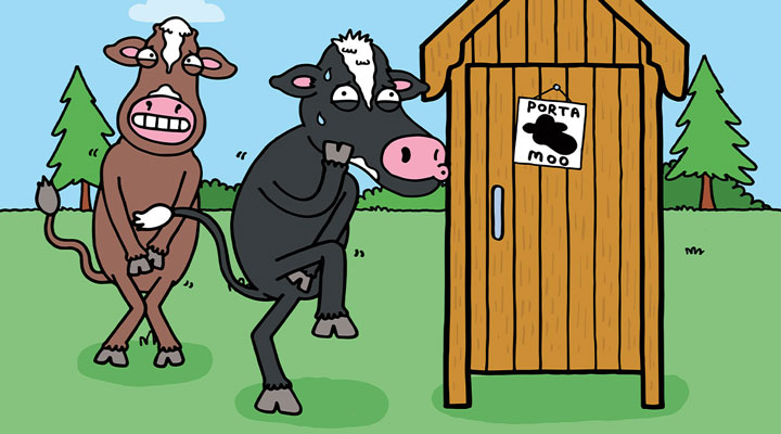 Potty-Trained Cows? Investigate It! Article for Students | Scholastic ...