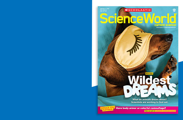 Science World | Teacher Homepage