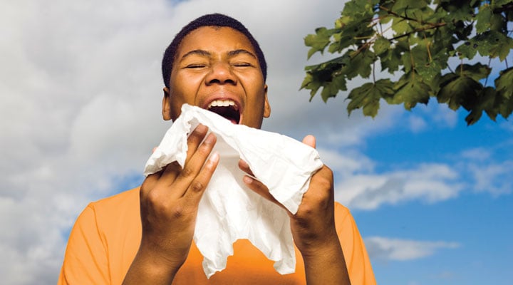 Achoo! | Biology Article for Students | Scholastic Science World Magazine