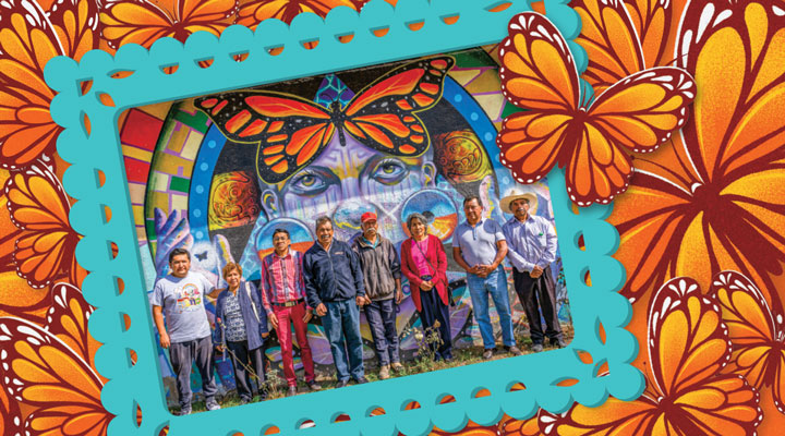The Butterfly Brigade | Biology Article for Students | Scholastic ...