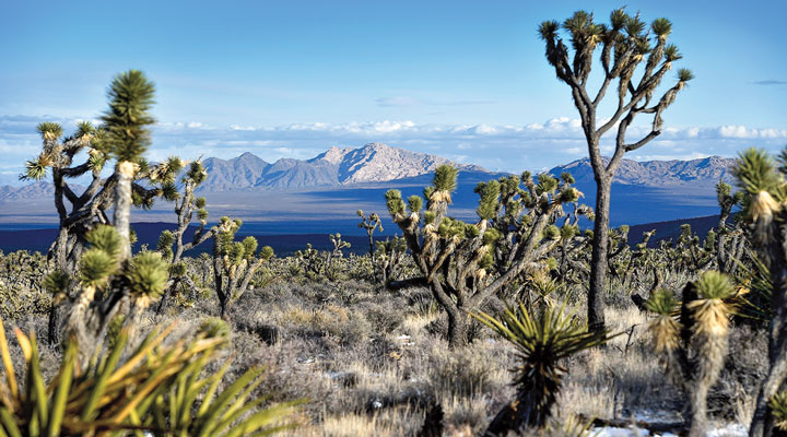 Protecting National Treasure | Earth Science Article for Students ...