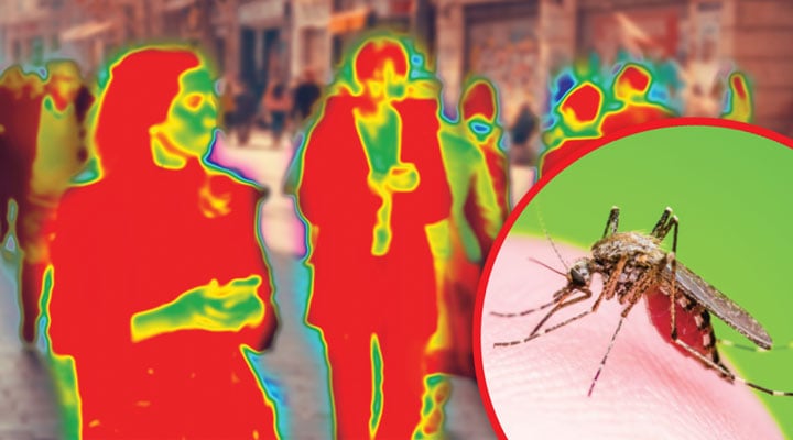 Heat-Seeking Mosquitoes | Physics Article for Students | Scholastic ...