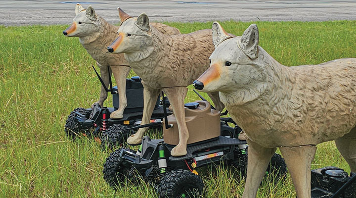Animal Bots Roll Out! | Engineering Article for Students | Scholastic ...