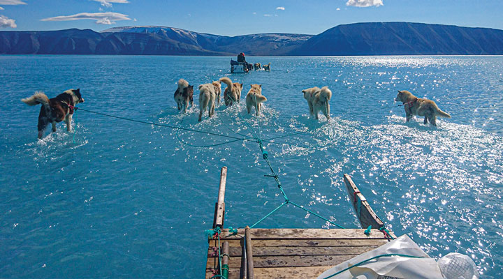 What in the World? Science Article for Students | Scholastic Science ...