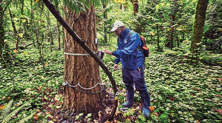 Urban Ecologist Cool STEM Jobs Article for Students | Scholastic ...