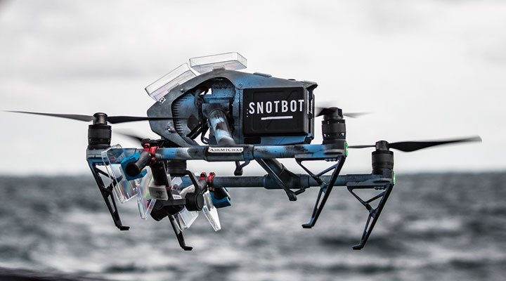 Whale Snot Collector Engineering Article for Students | Scholastic ...