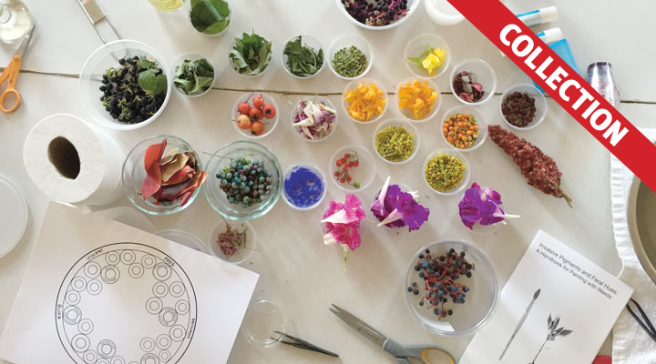 TITLE TKTKTK Text Set | Grades 6, 7, 8, 9, and 10 | Activities, Videos ...